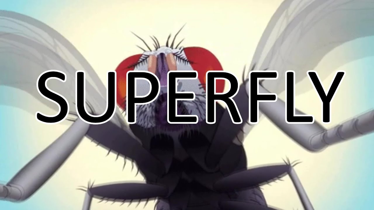 Kyla & the Keys : SUPERFLY - YouTube