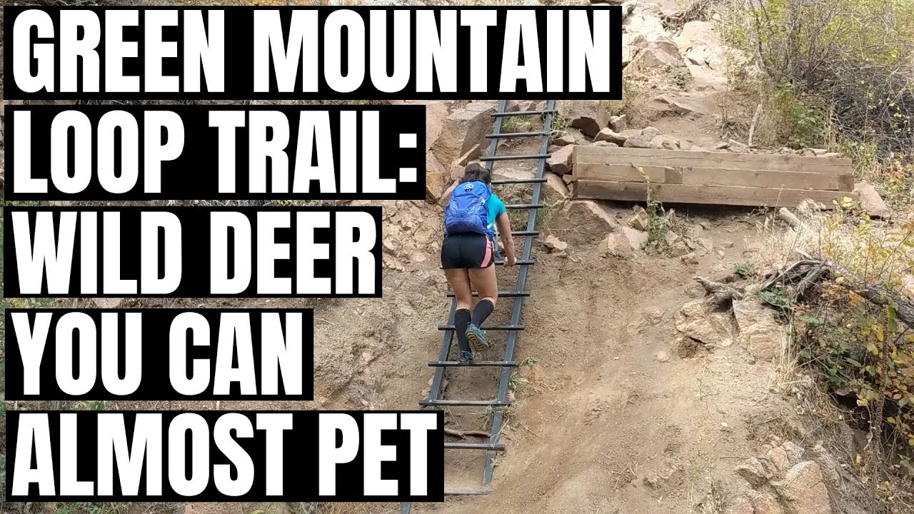 Exploring Green Mountain Loop Trail | Hiking Boulder Colorado | Boulder ...