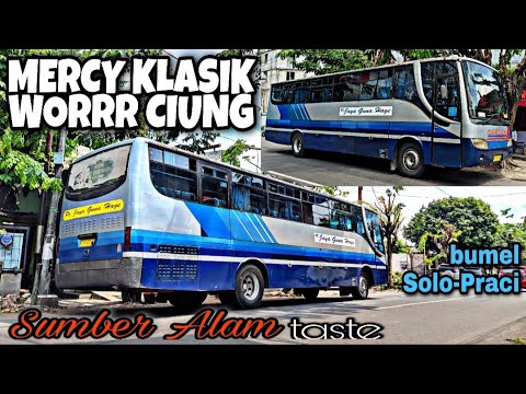 SUMBER ALAM taste ❗ Mercy Klasik Worrr Ciung ❗| trip Jaya Guna Hage AD 1421 FR