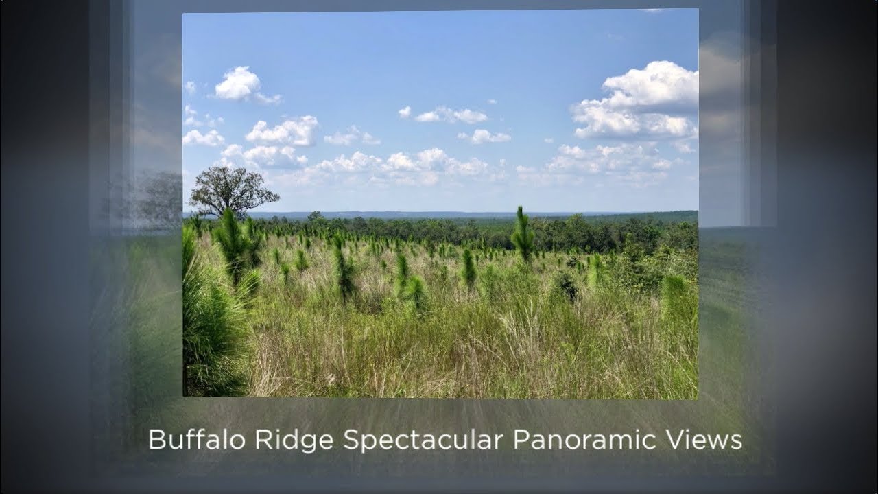 Buffalo Ridge Spectacular Panoramic Views - YouTube