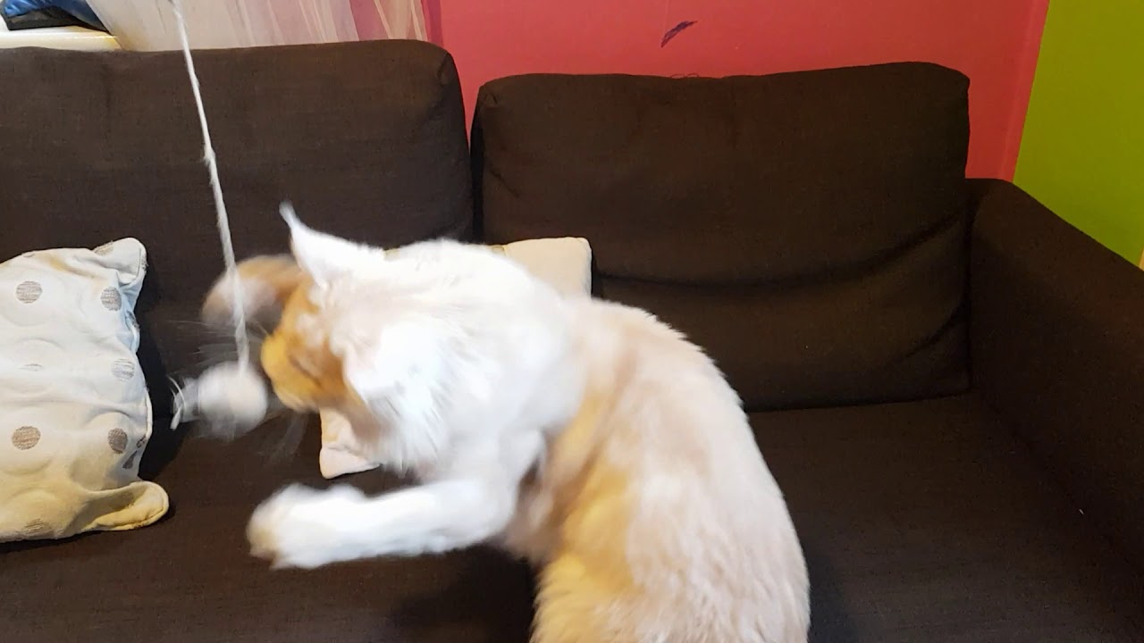 Helen'shill - YouTube