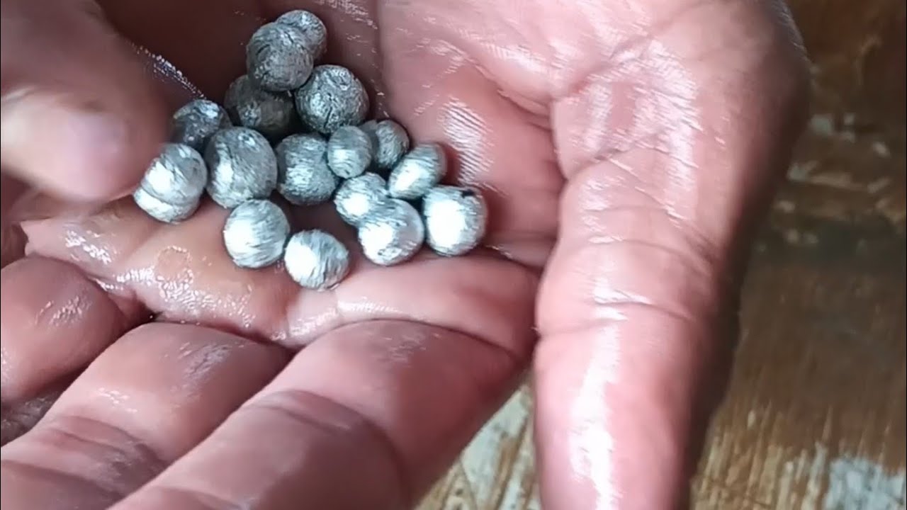 Batuan sampai menjadi emas dan proses pemurnian emas kadar rendah ke ...