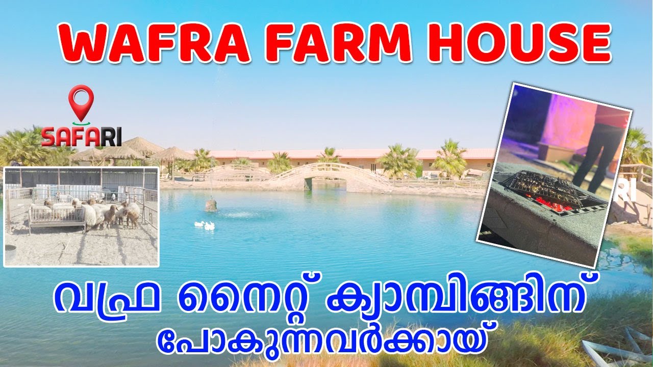 Wafra farm house Kuwait | വഫ്രയിലെ ഫാം ഹൗസിനെ കുറിച്ച് അറിയാം |#Wafra # ...