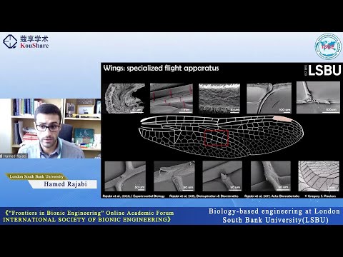Biology based engineering at London South Bank University (LSBU), Dr ...