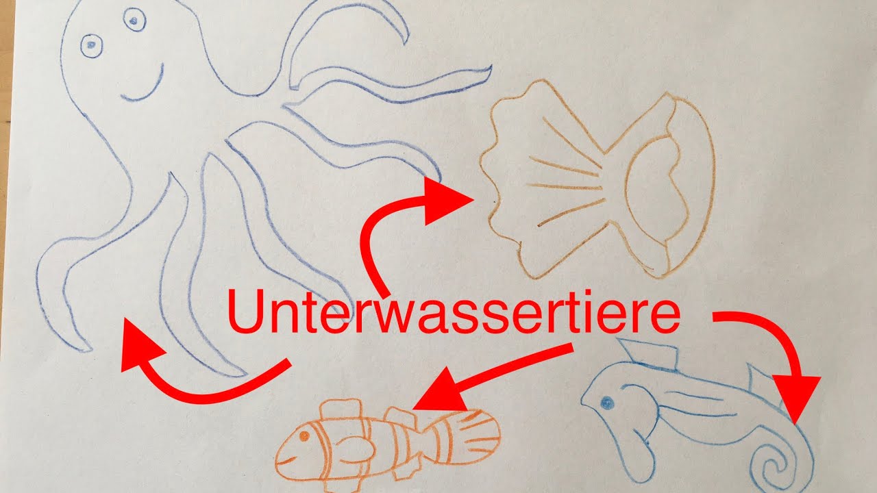 Wassertiere Zeichnen malen Nemo Seepferdchen Muschel Krake Tintenfisch ...