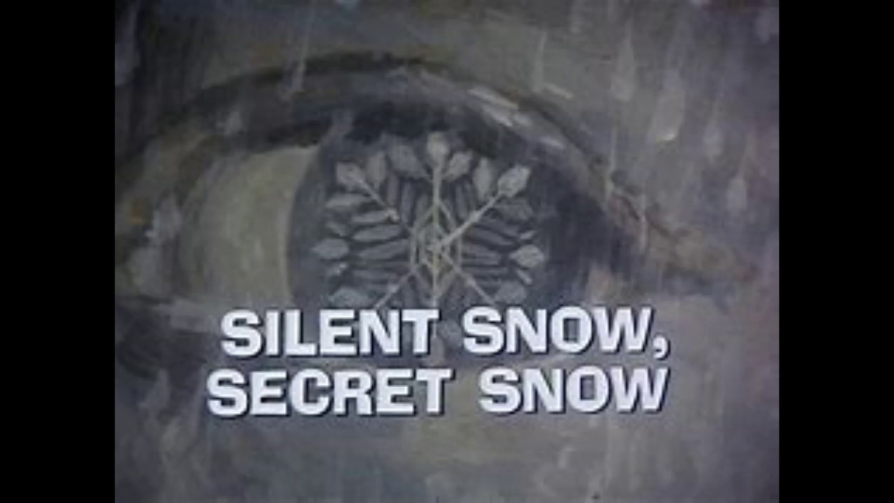 Silent Snow, Secret Snow a Night Gallery classic - YouTube