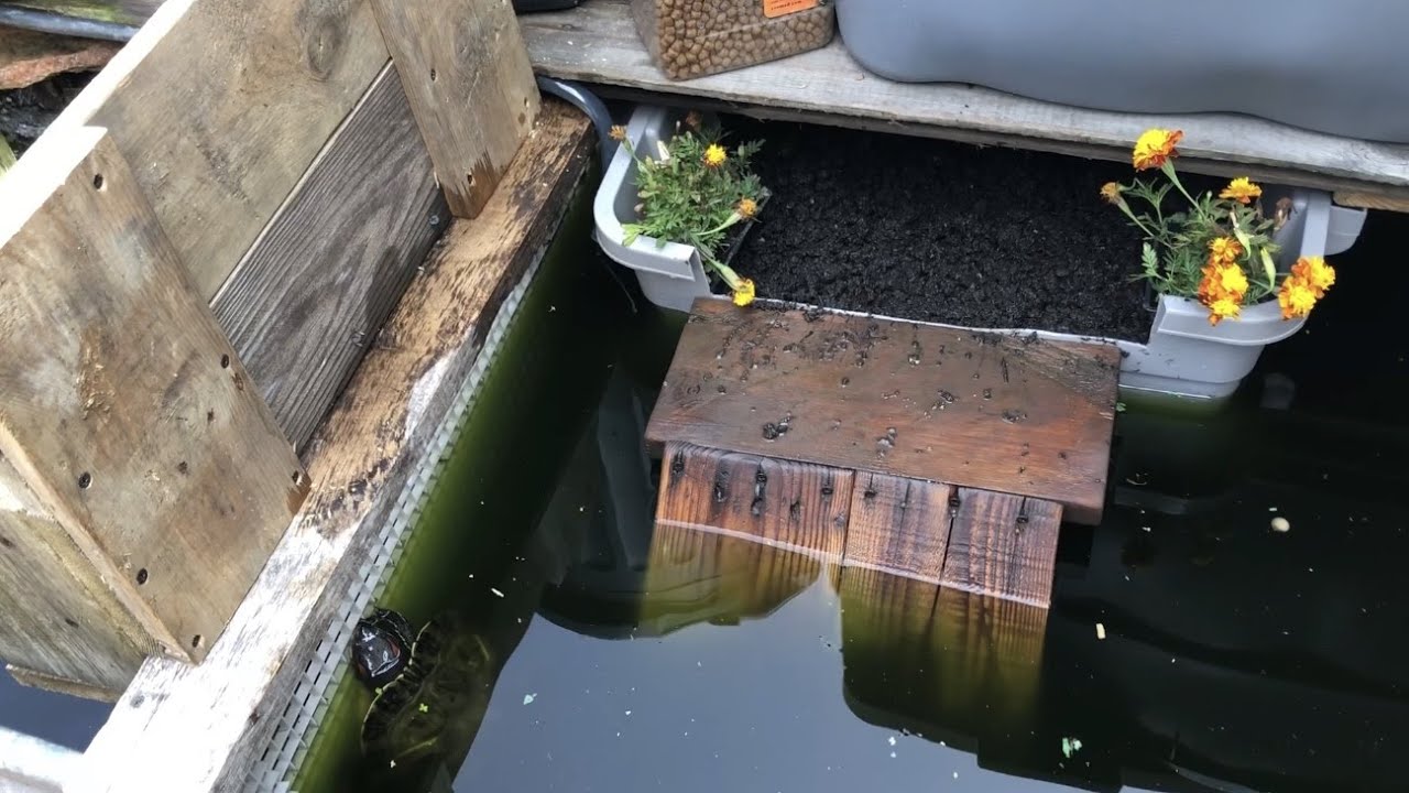 How To Build An Egg Laying Box For Turtles!!! | DIY Reptiles - YouTube