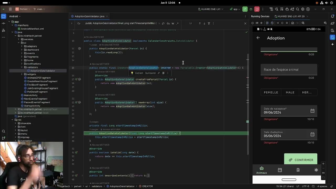 [PETVET] 11 - Analyse du code Java - YouTube