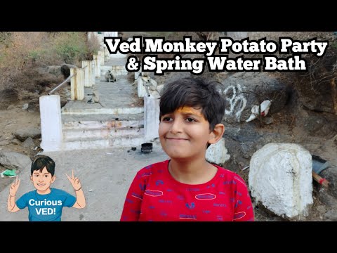 Curious VED! enjoying the monkeys potato party and a fun bath at the ...