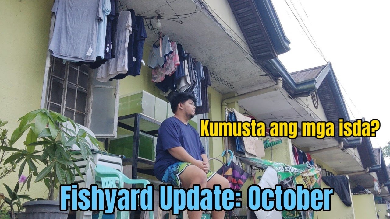 FishYard Update: October | 2023 | TAGALOG - YouTube