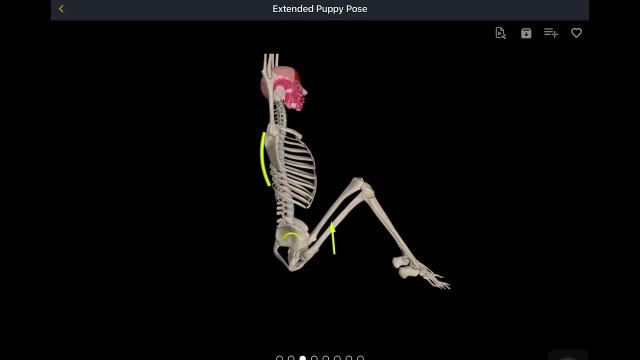 Extended Puppy Pose - YouTube