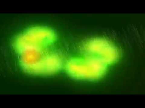 LOS DIKELAS esa morenita REMIX