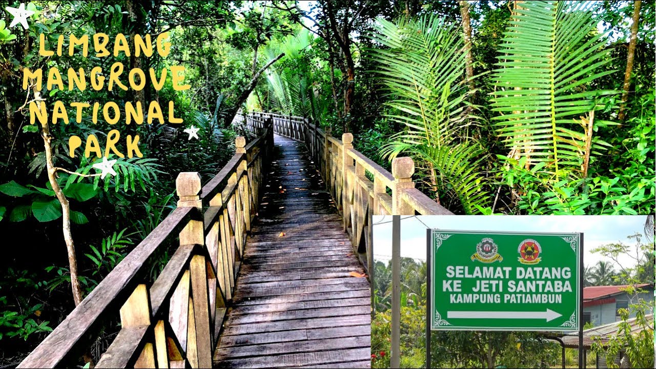 Limbang Mangrove National Park // Jeti Santaba Kampung Patiambun ...