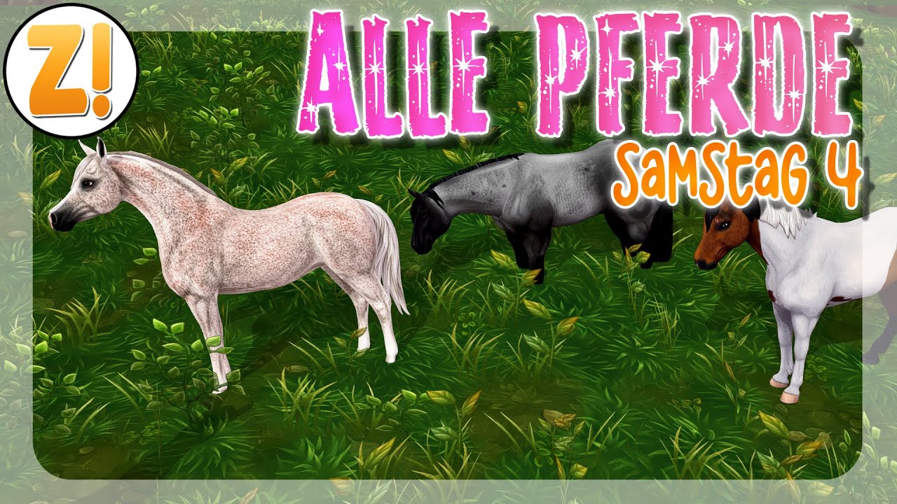 ALLE 4 PFERDE SAMSTAG - WOCHE 4 🐴 WESTERN CAMP 2023 GUIDE | Star Stable ...