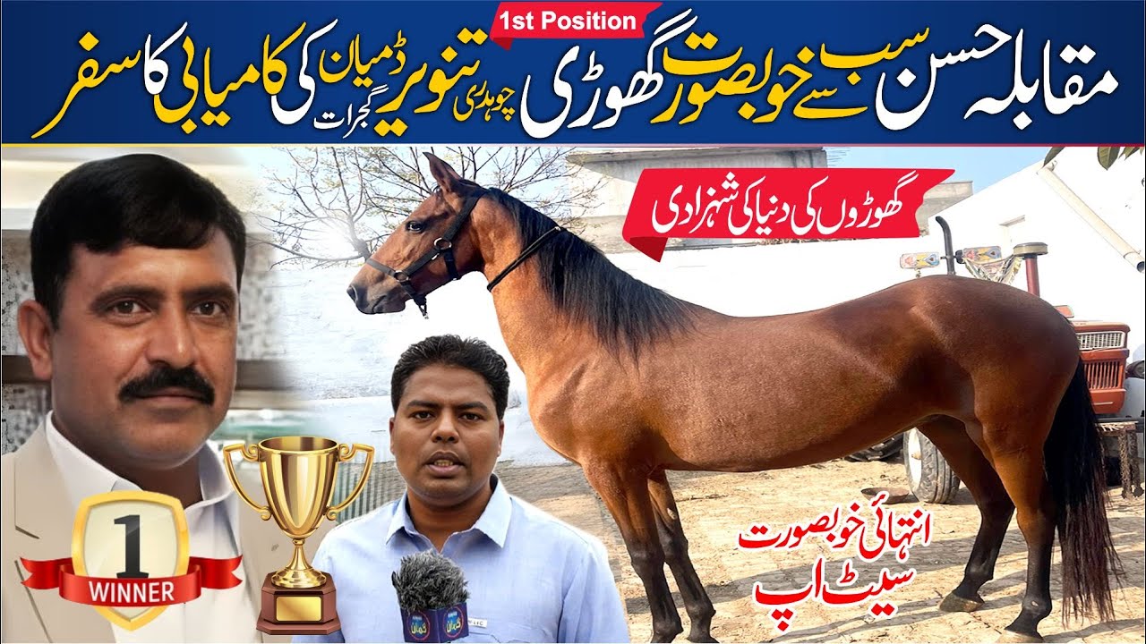 VIP Farmhouse | The most beautiful mare of Pakistan | Winner mares in ...