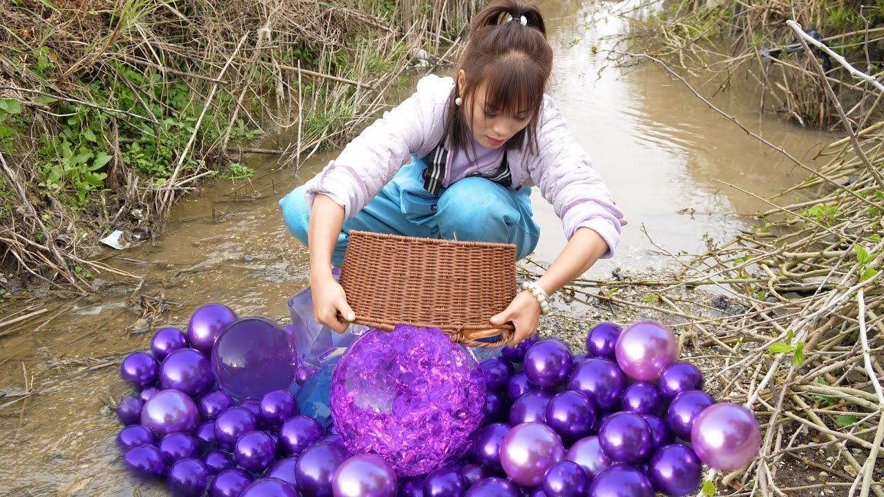 The Secret Riches of the Mutant Clam:A Teenage Girl's Adventure to ...