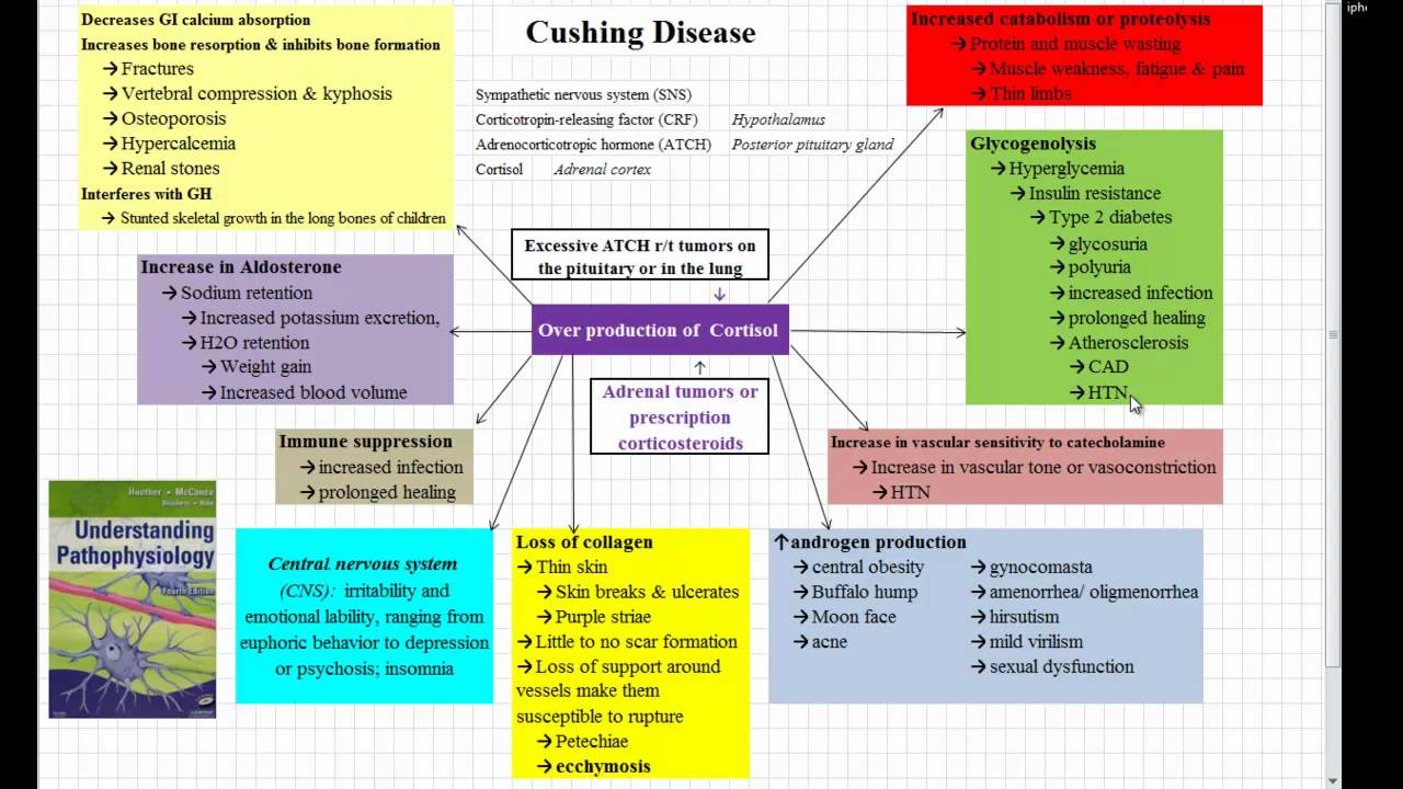 Cushing explained - YouTube