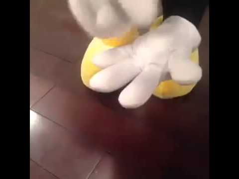MICKEY MOUSE SMACK CAM FUNNY VINE VIDEO - YouTube