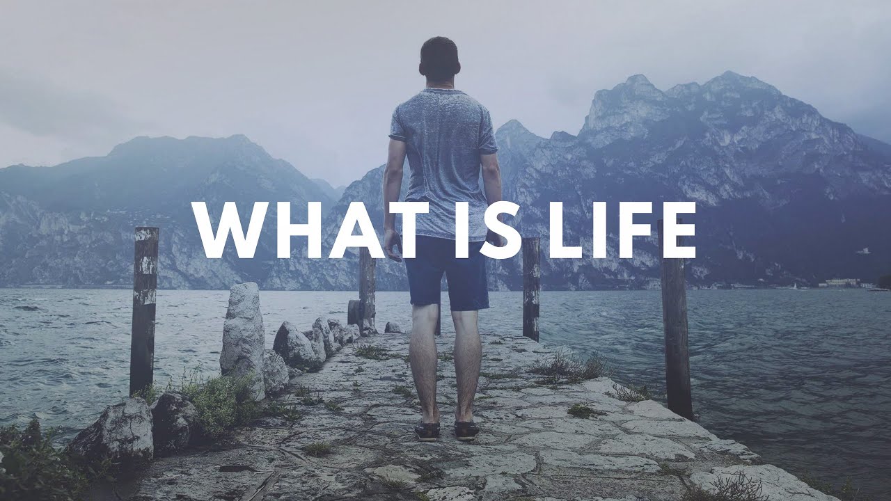 Your Own Nature Will Take Care Of It Self - Alan Watts *Great Remedy ...