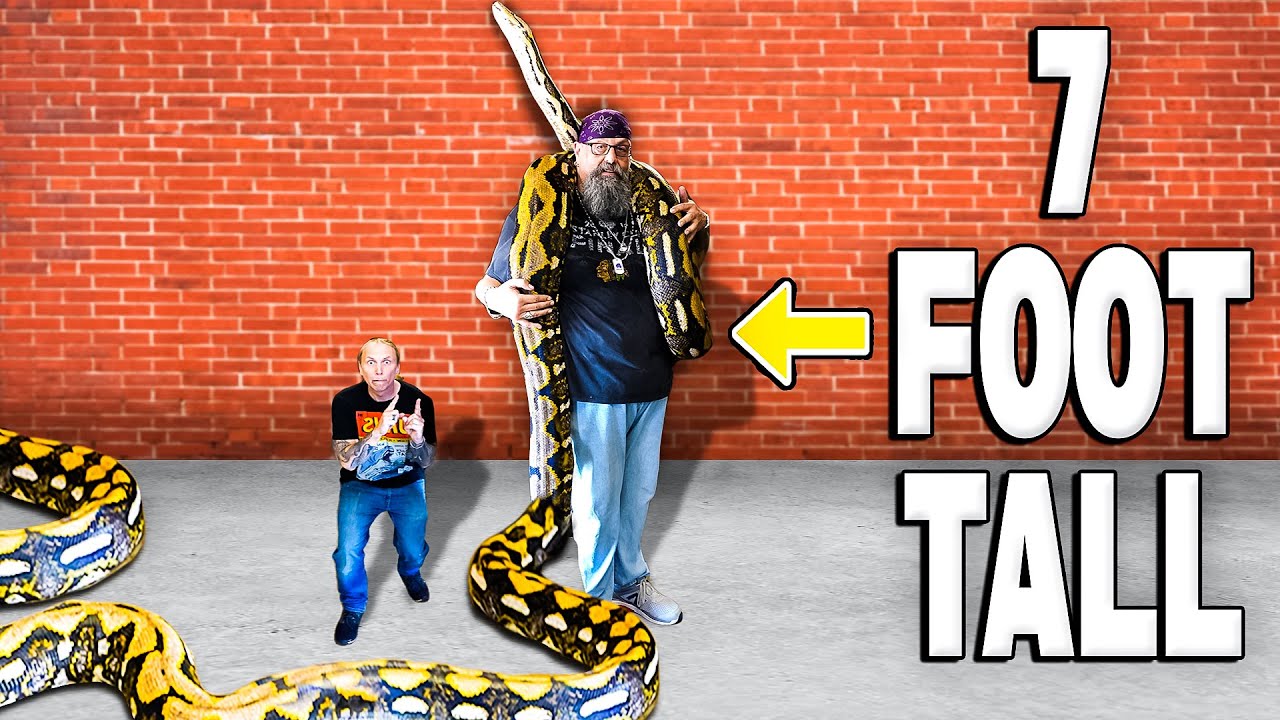 7 Foot Tall Guy Handles My 20 Foot Giant Snake! - YouTube