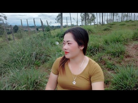 Niam tsev Mus ua neeb saib hmoob kuv thiaj muab niam hluas tsoob paum ...