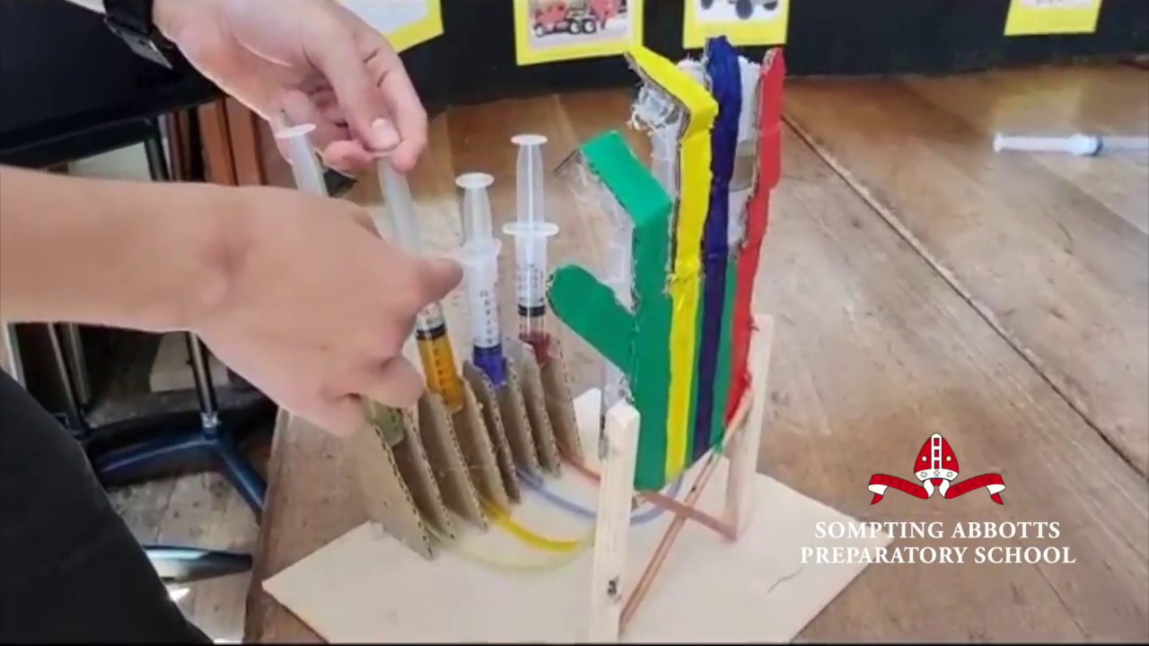 Hydraulics STEM skills demonstration by Sompting Abbotts pupils - YouTube