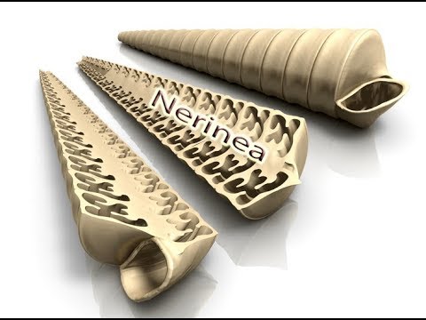 Что такое Nerinea - YouTube