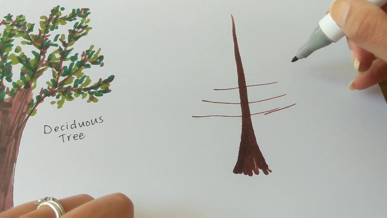 The 30 Day Sketching Challenge- Day 19- Drawing Trees - YouTube