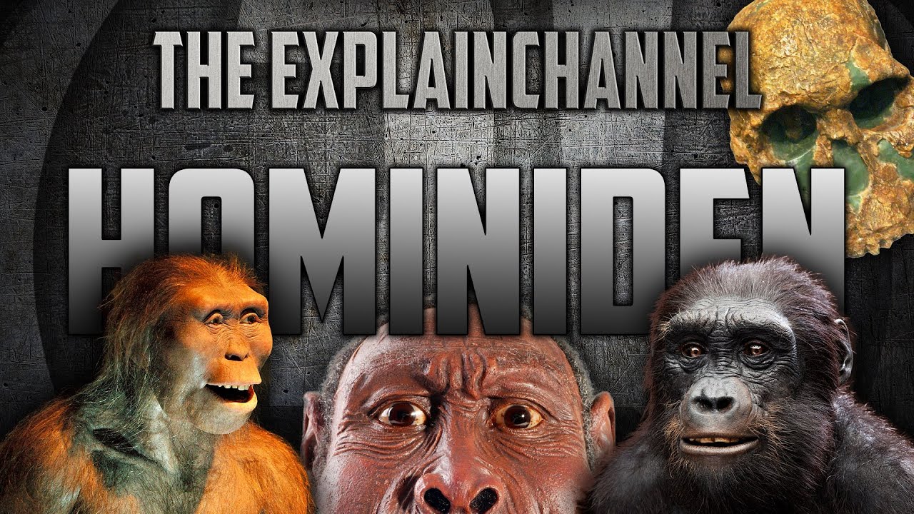 Hominiden (Menschliche Evolution) einfach erklärt - YouTube