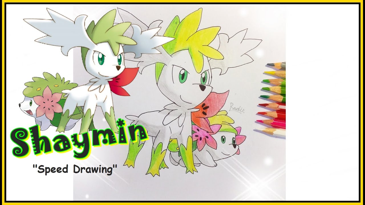 Shaymin - Pokemon Speed Drawing - YouTube