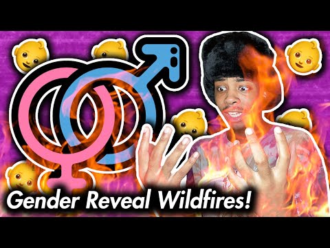 Gender Reveal Wildfire Meme! | Dank Memes of September | Gender Reveals ...