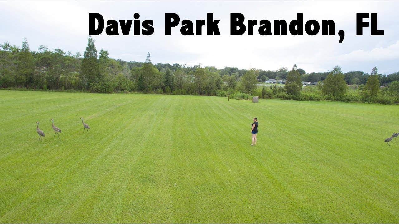 Davis Park Brandon, FL - Phantom 3 Standard - YouTube