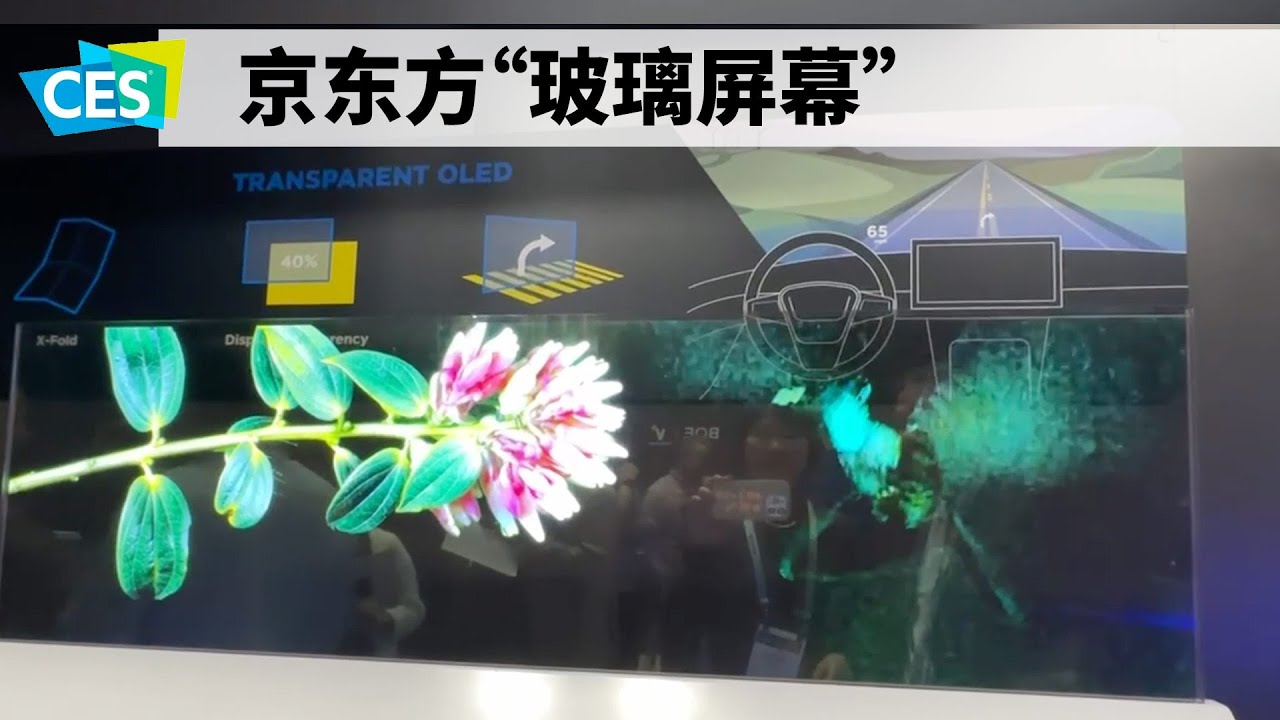 Glass or Screen? BOE’s TRANSPARENT OLED Blurs the Lines! - YouTube