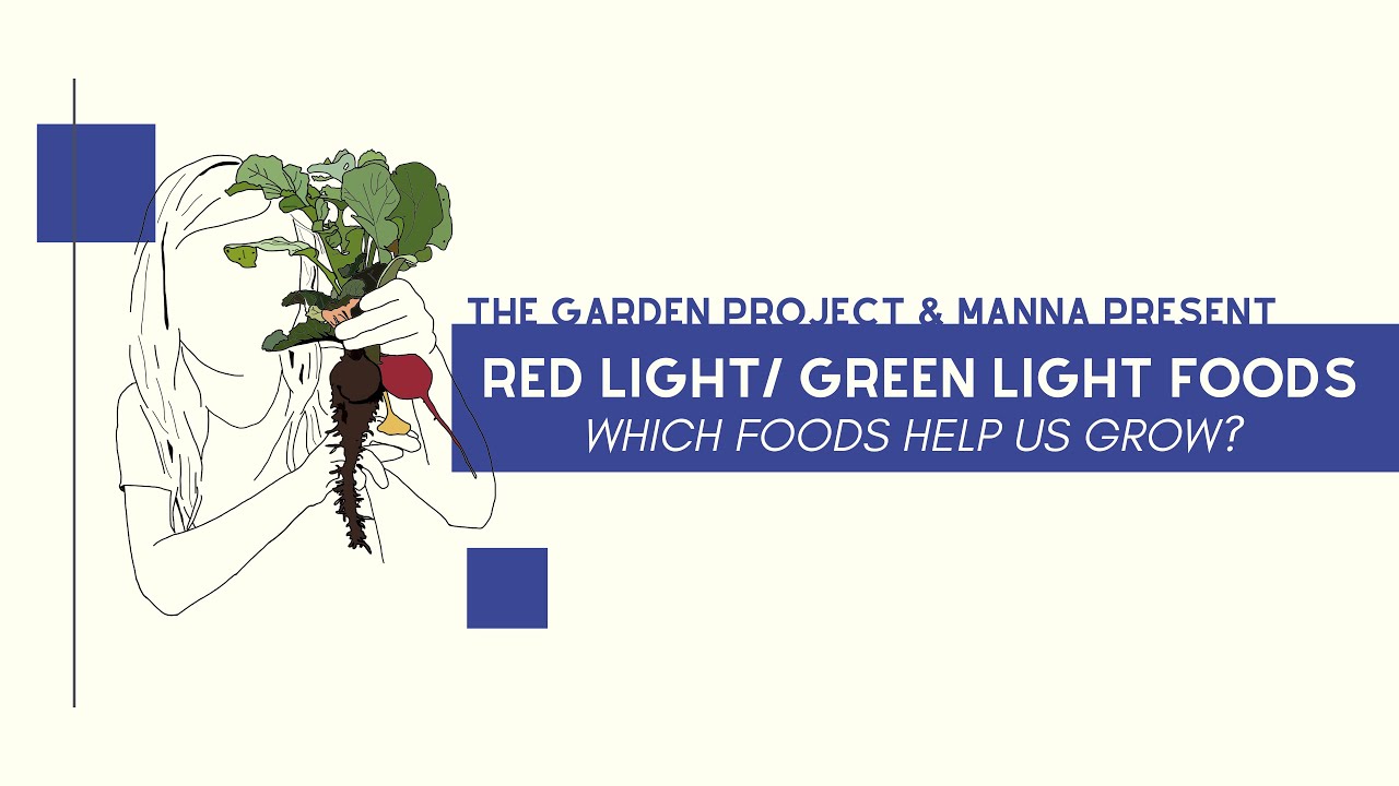 Junior Master Gardener Lesson Two: Red Light / Green Light Foods - YouTube