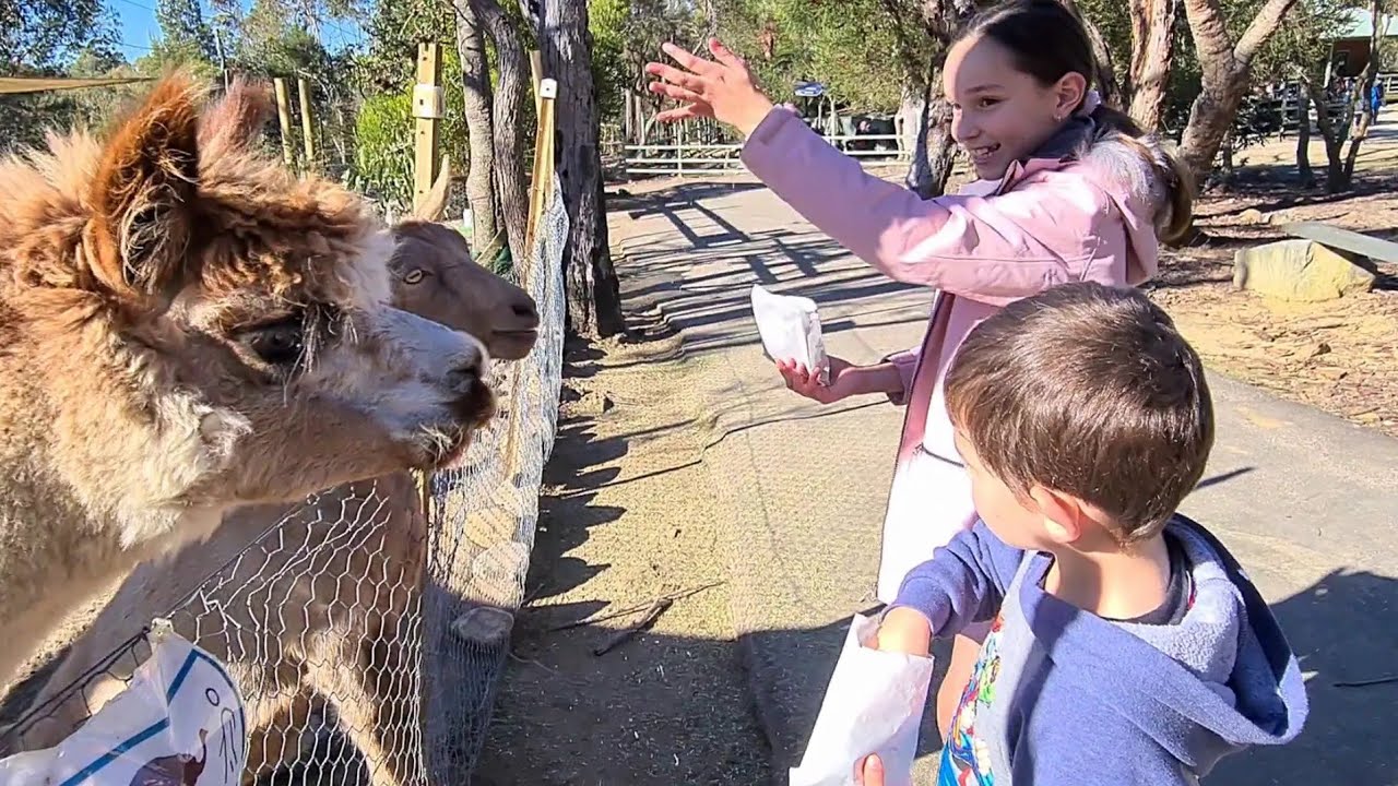 The Presdee Peanuts Visit Walk About Wildlife Sanctuary - YouTube