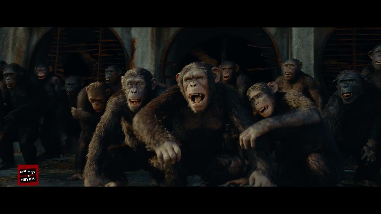Noa V Proximus Final Battle - Kingdom of the Planet of Apes (2024 ...