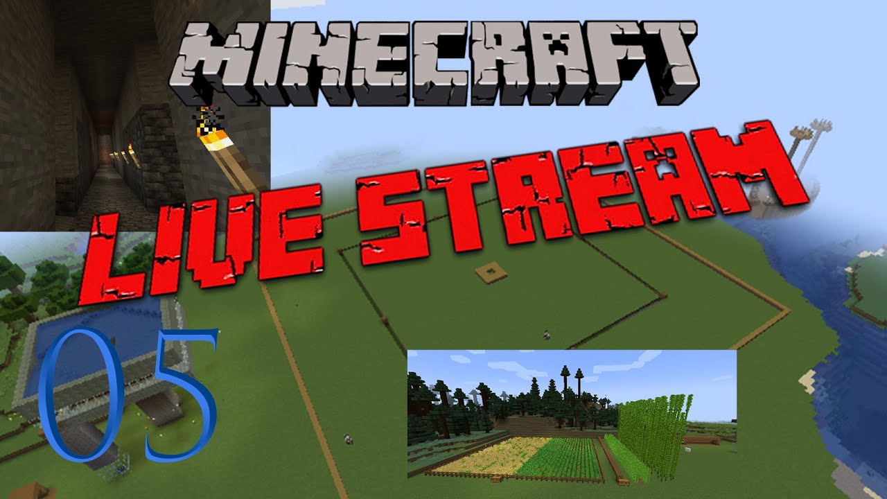Minecraft Survival On Our Server 04 1.17 Ep. 05 (Farming | Mining ...