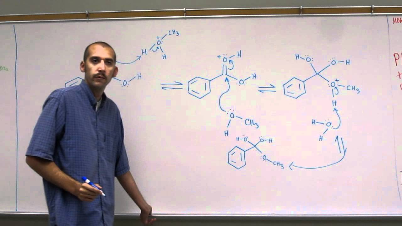 Organic Mechanism Fischer Esterification 004 - YouTube