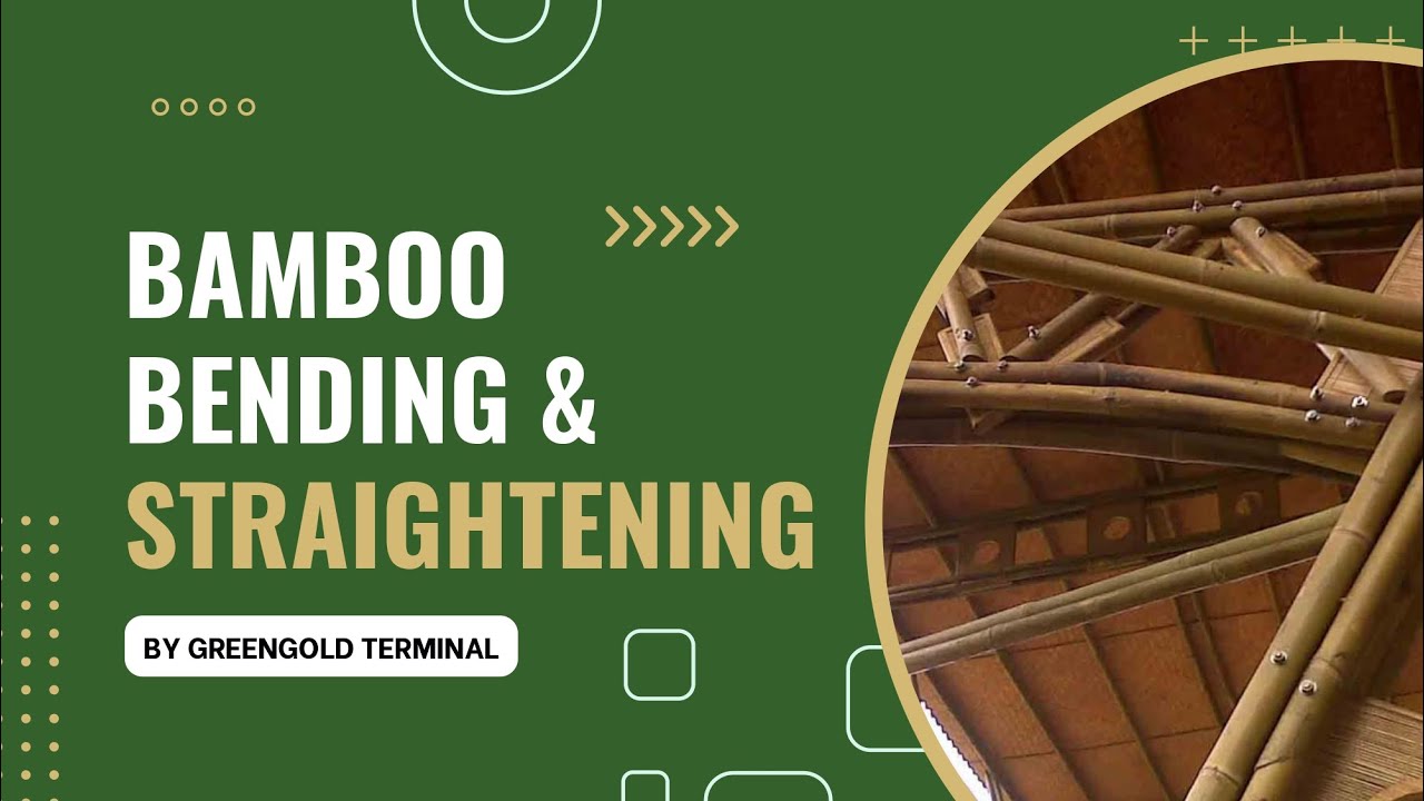 Bamboo Bending and Straightening | Bamboo Treatment | Manga Bamboo ...