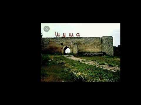 Derdin Qarabaq rengi...Telli Senem Borcali...
