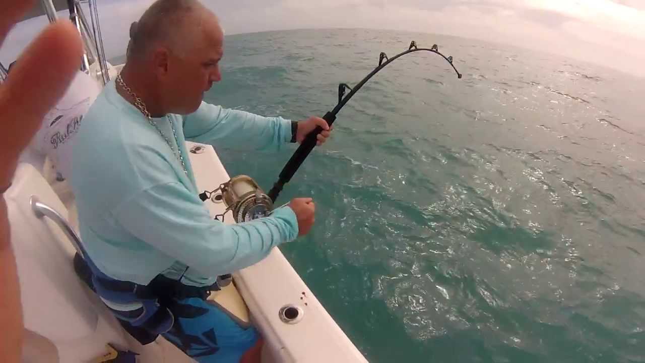 Giant Bull Shark On Stand Up Tackle - YouTube