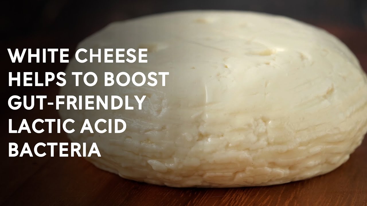 White cheese helps to boost gut-friendly lactic acid bacteria - YouTube