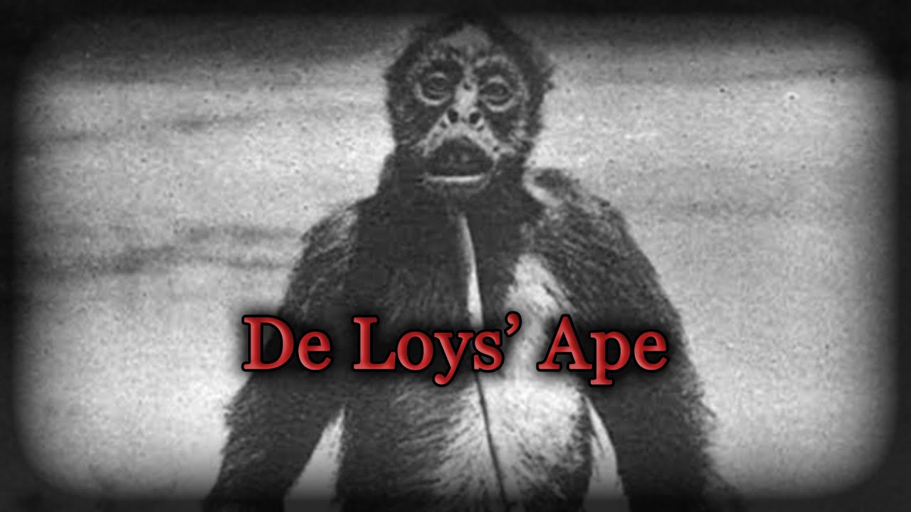 The Racist Cryptid | De Loys' Ape - YouTube