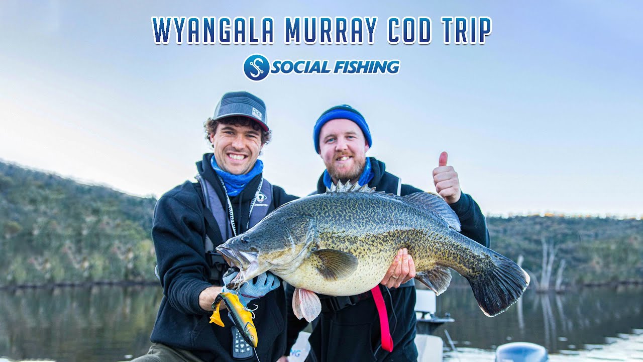 Jake's Wyangala trip ft Social Fishing - Winter Murray Cod Fishing ...
