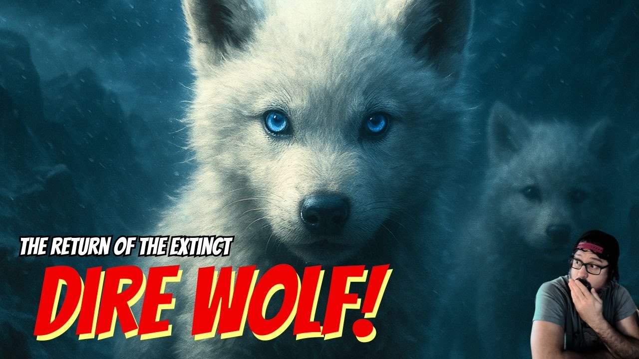 Scientists Attempt To Bring Back The Dire Wolf Breed - YouTube