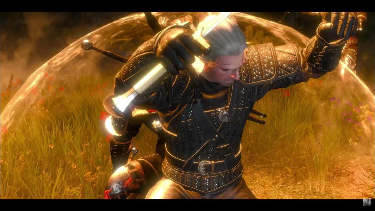 Netflix Witcher Armor In Action And Netflix Nilfgaardian Armor Too! l The Witcher 3 Next-Gen ...