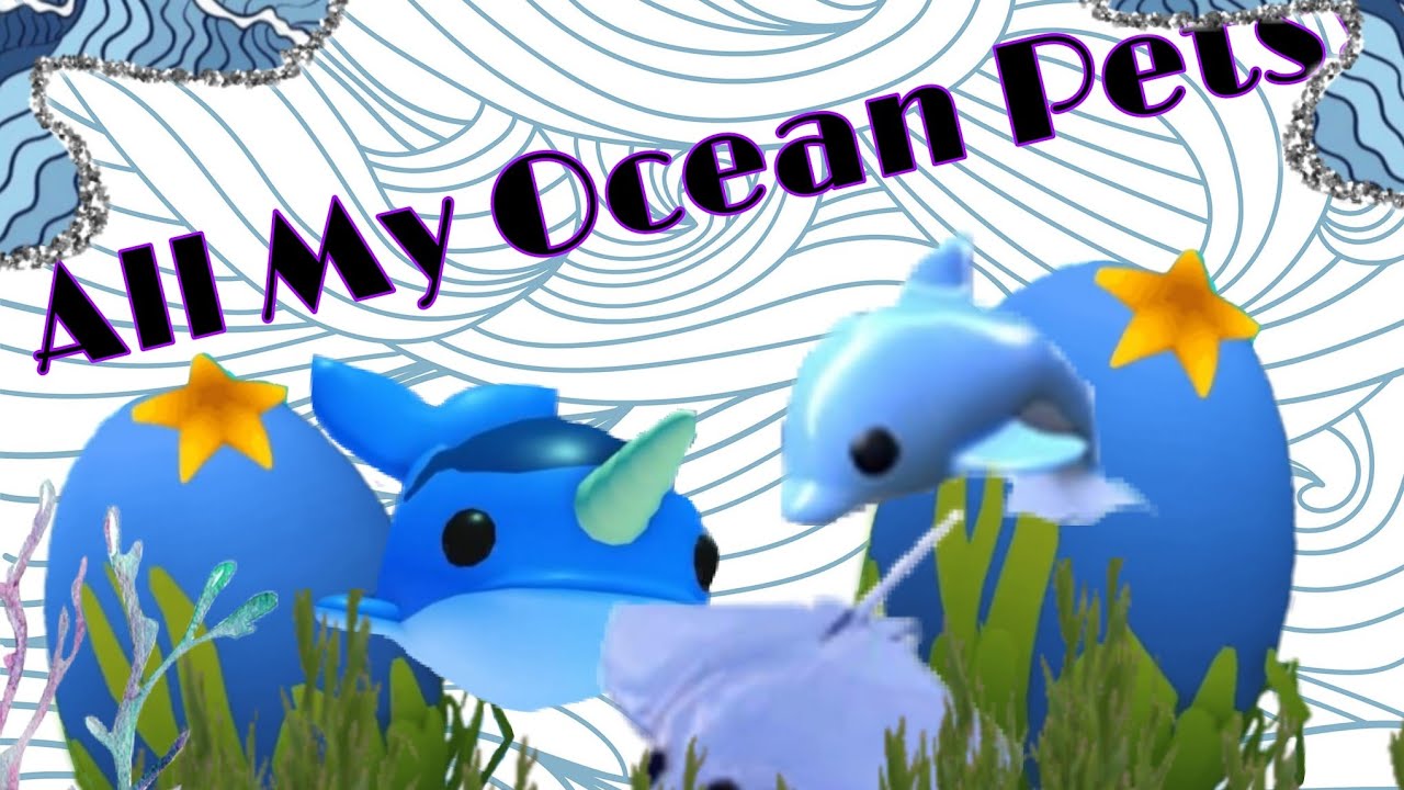 All My Ocean Pets + Ocean Egg Hatching!! - YouTube