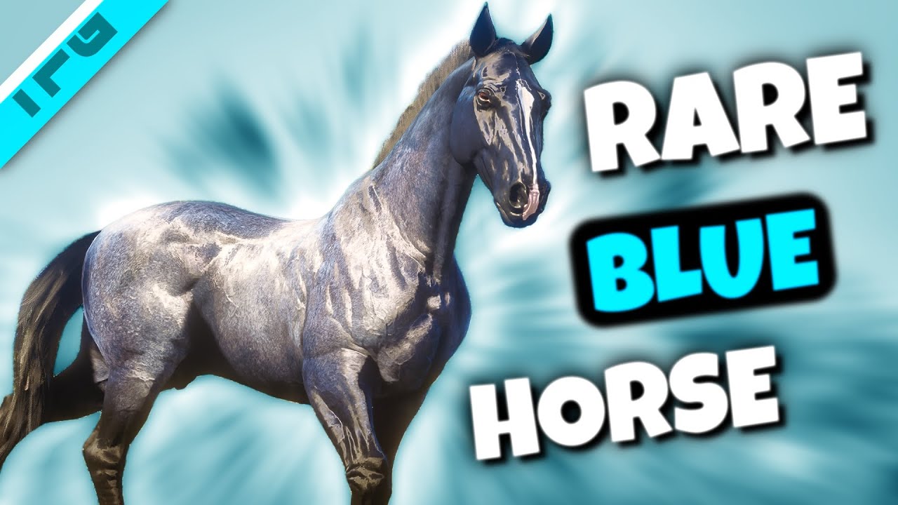 Get this Wild Race Horse: The Blue Roan Nokota Early | RDR2 - YouTube