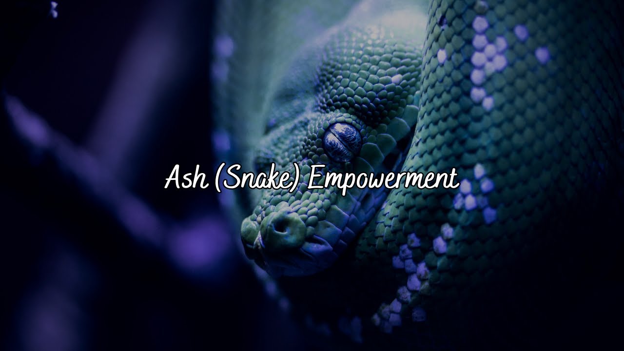 Ash (Snake) Empowerment - Subliminal Audio - YouTube