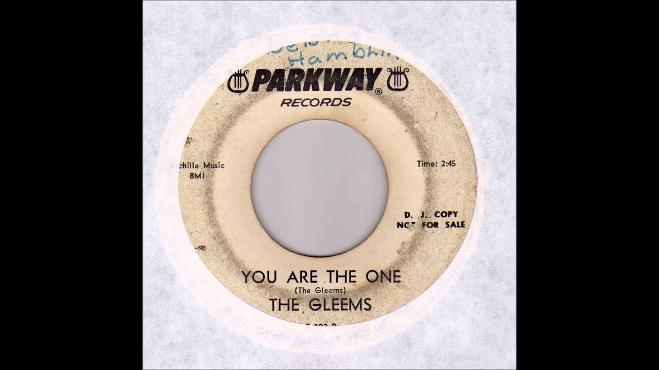 GLEEMS - You Are The One - Parkway 893 - 1964 - YouTube